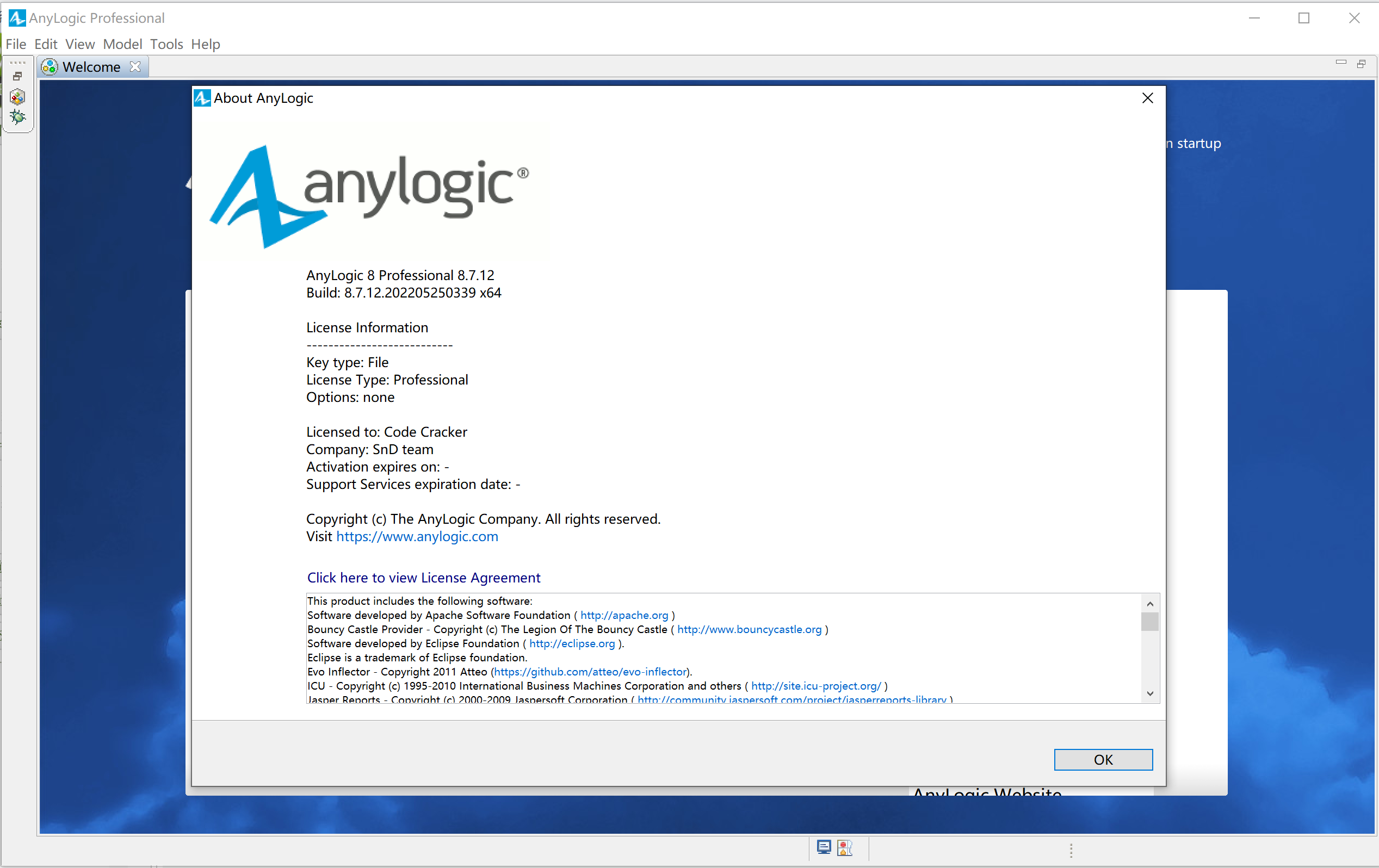 AnyLogic Pro8.8破解版|AnyLogic Professional 8.8.2真完美激活-闪电软件园